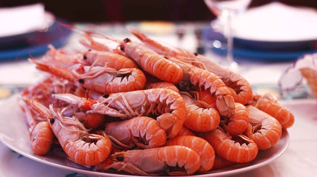 ¡Imperdible! Copa de Mar para estas fiestas - Voilà